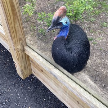 KEYSTONE SAFARI - Updated July 2024 - 130 Photos & 56 Reviews - 2284 ...