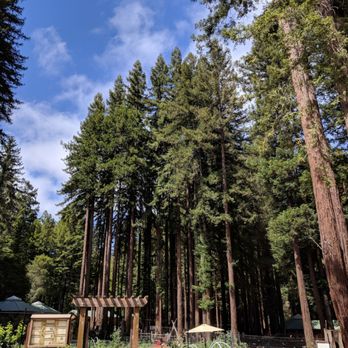 YMCA CAMP CAMPBELL - Updated December 2025 - 163 Photos & 70 Reviews ...