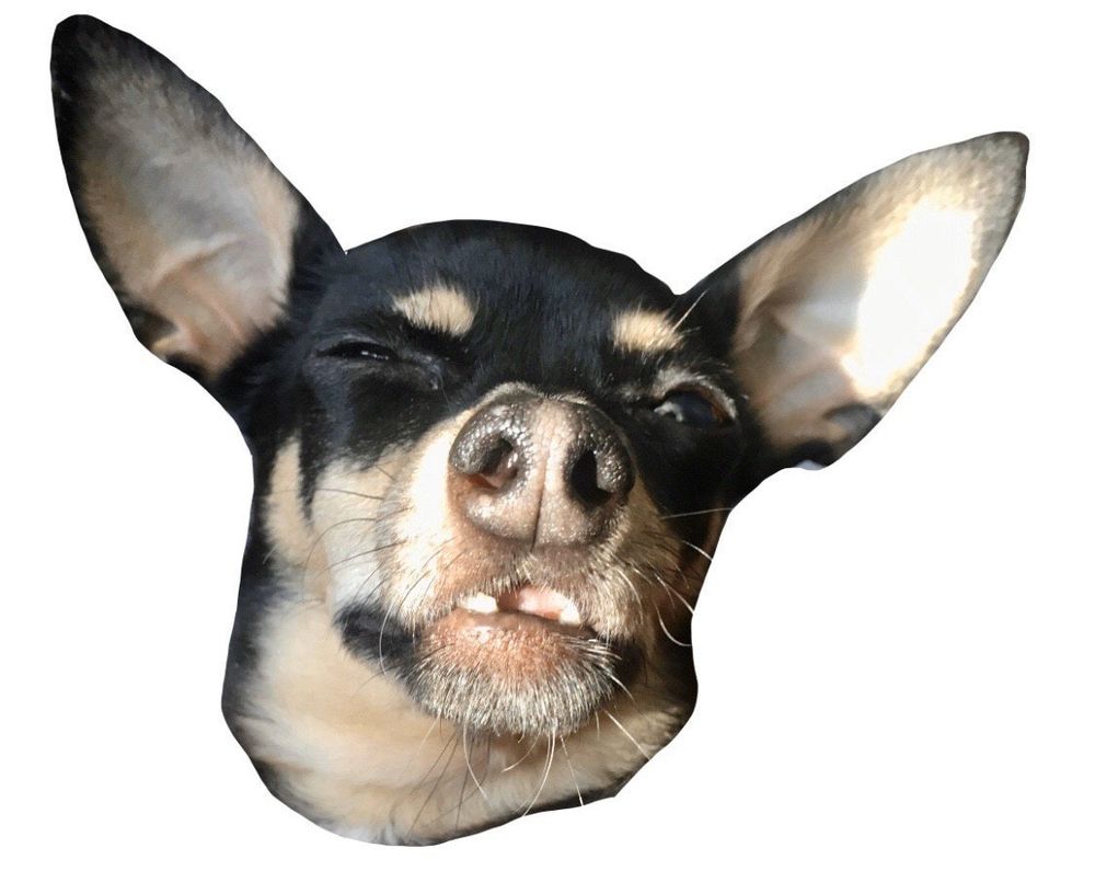 POWDER RIDGE VETERINARY HOSPITAL - Updated September 2025 - 10 Photos ...