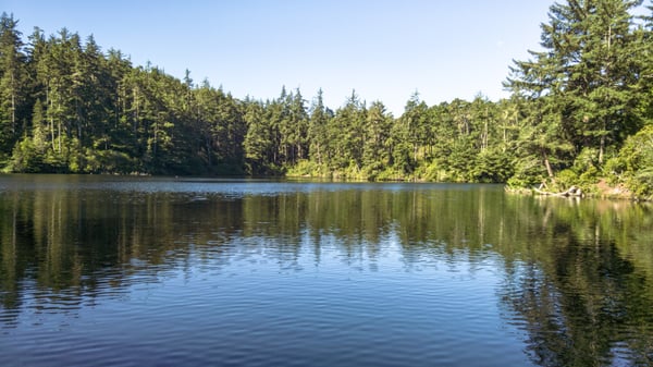 LAKE MARIE - Updated October 2025 - 10 Photos - 452-682 Lighthouse Rd ...