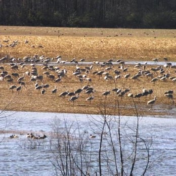 WHEELER NATIONAL WILDLIFE REFUGE - Updated October 2025 - 135 Photos ...