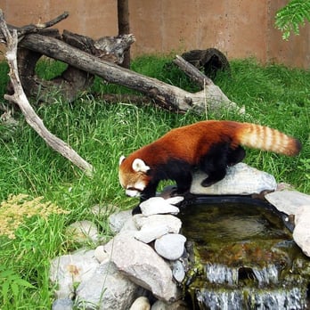 RED RIVER ZOO - Updated December 2024 - 174 Photos & 36 Reviews - 4255 ...