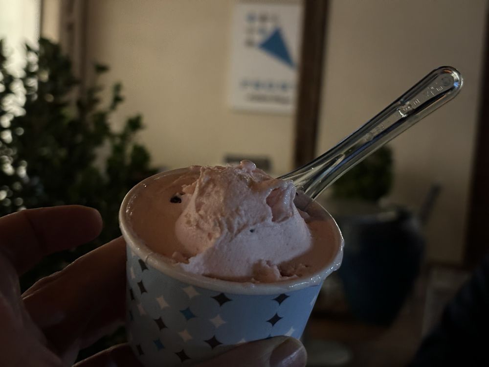 FROST GELATO - Updated January 2026 - 223 Photos & 284 Reviews - 7131 N ...