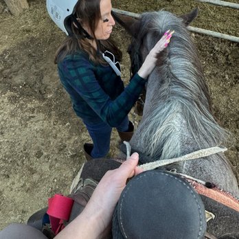 SUNSET RANCH HOLLYWOOD STABLES - Updated July 2025 - 1392 Photos & 901 ...