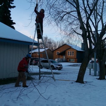 TALL TREES - Updated December 2025 - 14 Reviews - 6446 Homer Dr ...