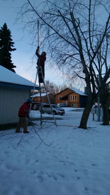 TALL TREES - Updated December 2025 - 14 Reviews - 6446 Homer Dr ...