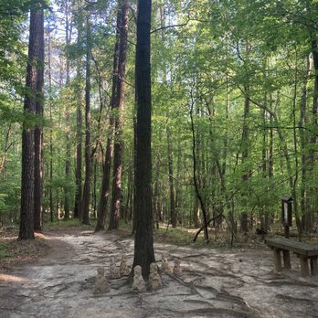 AUTREY MILL NATURE PRESERVE ASSOCIATION - Updated September 2025 - 77 ...