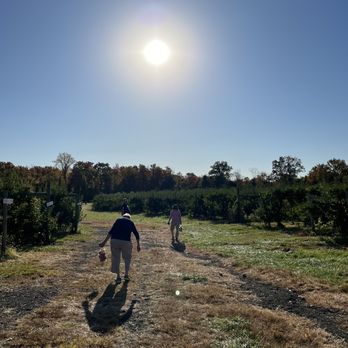 TERHUNE ORCHARDS - Updated September 2024 - 566 Photos & 368 Reviews ...