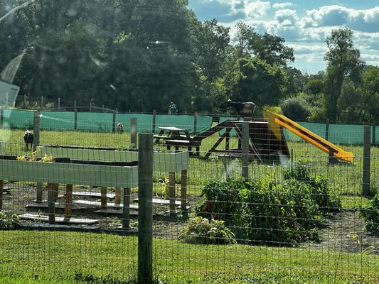 HAWS SCHALLOCK CENTER FOR ANIMALS - Updated December 2025 - 36 Photos ...