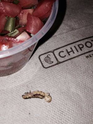 CHIPOTLE MEXICAN GRILL - Updated January 2025 - 13 Photos & 73 Reviews ...