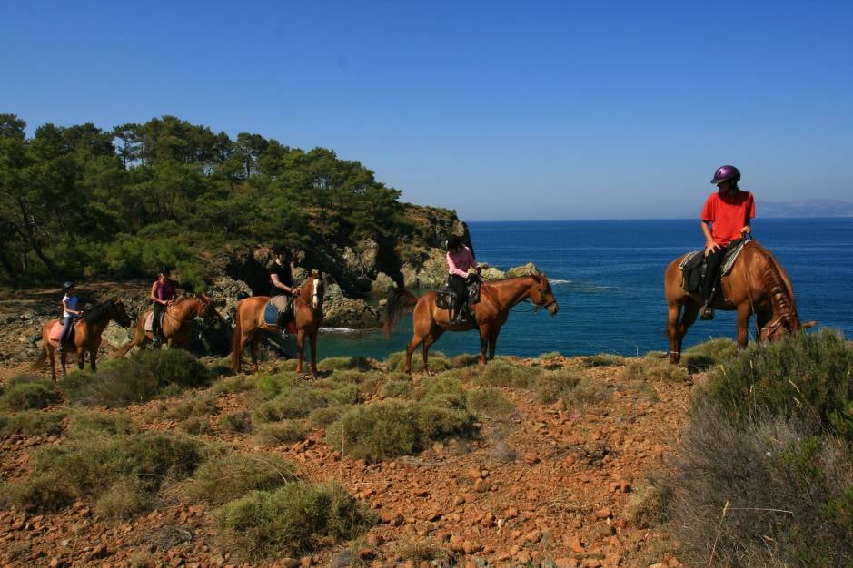 DESPERADO HORSE RANCH - Updated September 2024 - Atcilar Sokak 6, Muğla ...