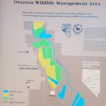 OVERTON WILDLIFE MANAGEMENT AREA - Updated December 2025 - 30 Photos ...