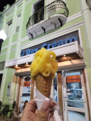 REX CREAM - Updated October 2025 - 30 Photos & 41 Reviews - Calle ...