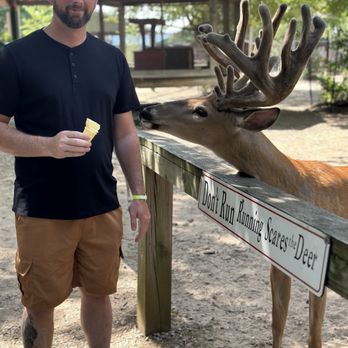 WISCONSIN DEER PARK - Updated August 2024 - 237 Photos & 124 Reviews ...