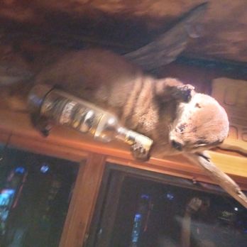 RUSTY’S BACKWATER SALOON - Updated October 2025 - 35 Photos & 31 Reviews - 1715 W River Dr ...