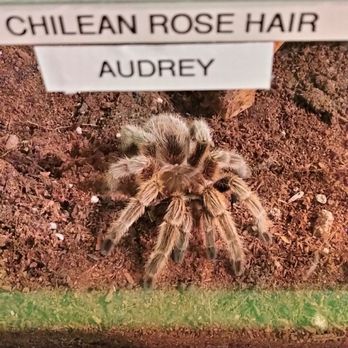 VICTORIA BUG ZOO - Updated December 2025 - 130 Photos & 123 Reviews ...