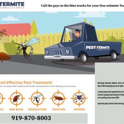 Best Mice Exterminator Near Me - September 2025: Find Nearby Mice ...
