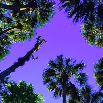 LITTLE BIG ECON STATE FOREST - Updated August 2025 - 171 Photos & 25 Reviews - 1350 Snow Hill Rd ...