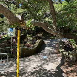 CODORNICES PARK - Updated October 2025 - 162 Photos & 160 Reviews ...