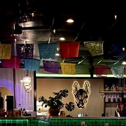 XOLO TACOS - Updated December 2024 - 107 Photos & 138 Reviews - 13216 N ...