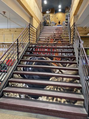 FIN FEATHER FUR OUTFITTERS - ASHLAND - 37 Photos & 28 Reviews - 652 US ...