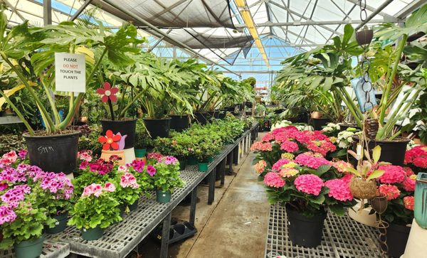 PROCTOR ACE HARDWARE - Updated June 2026 - 126 Photos & 27 Reviews ...
