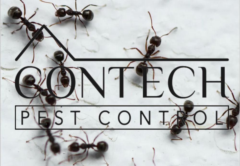 CONTECH PEST CONTROL - Updated June 2025 - 10 Photos & 30 Reviews ...