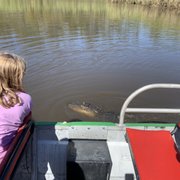 GULF COAST GATOR RANCH & TOURS - 167 Photos & 85 Reviews - 10300 Hwy 90 ...