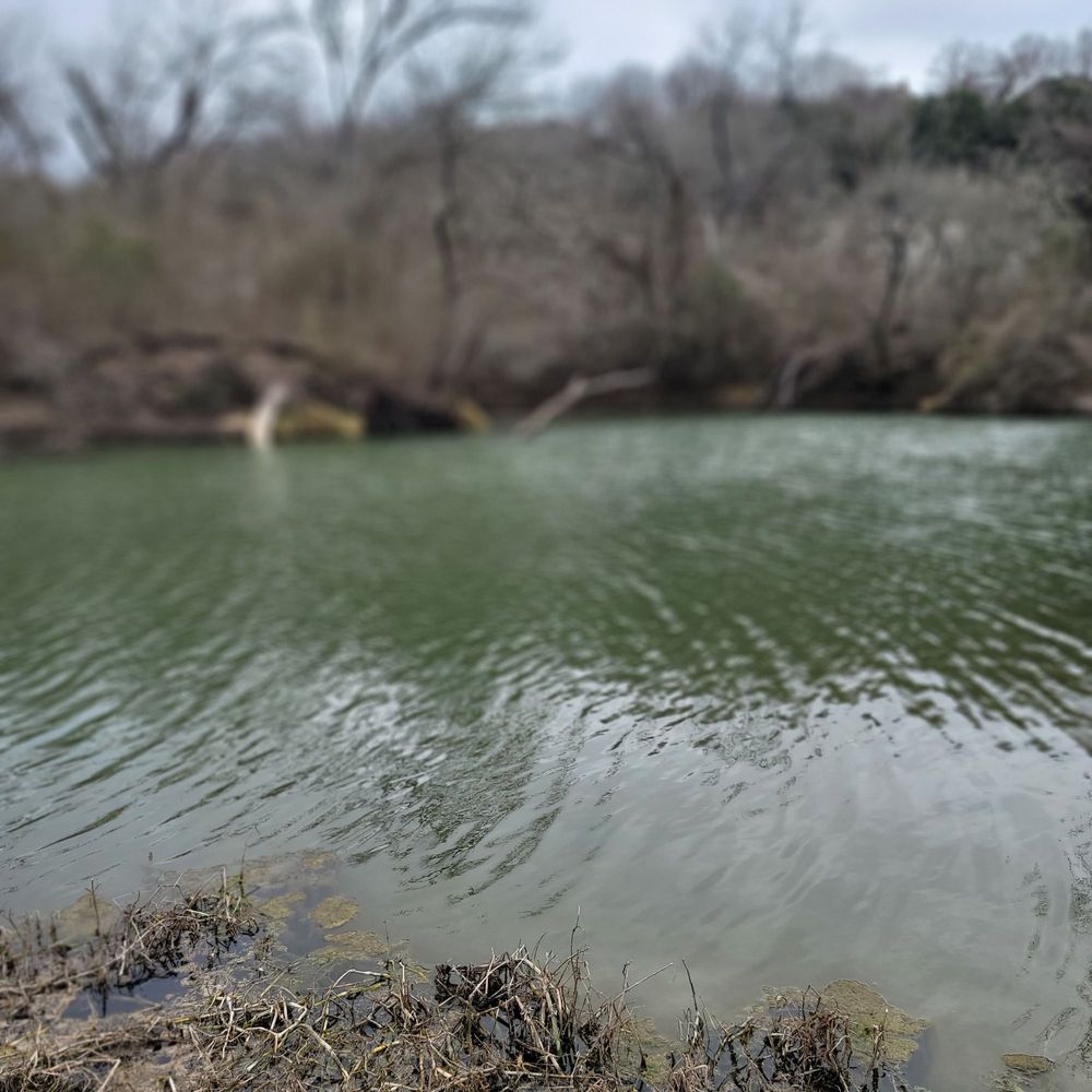 MILLER SPRINGS NATURE CENTER - Updated October 2025 - 13 Photos - 1473 ...