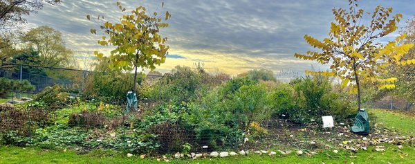 COLD SPRING PARK - Updated December 2025 - 44 Photos & 23 Reviews ...