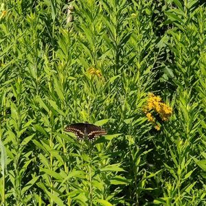 SCOUT LAKE PARK - 23 Photos - 5902 West Loomis Rd, Greendale, Wisconsin ...