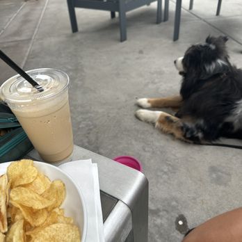 AMPED COFFEE COMPANY - Updated December 2024 - 158 Photos & 198 Reviews ...