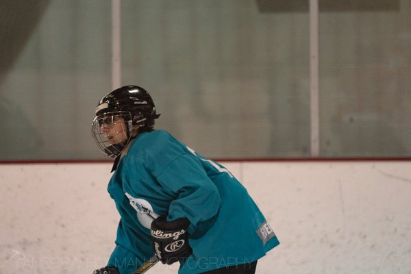 DEMPSEY-ANDERSON ICE ARENA - Updated November 2025 - 46 Photos - 1741 W ...