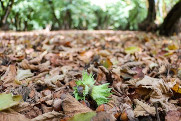 DORRIS RANCH - Updated July 2025 - 51 Photos & 15 Reviews - South 2nd ...