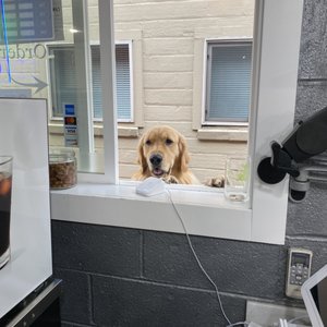 MOCHA EXPRESS - Updated September 2024 - 17 Photos & 22 Reviews - 14813 ...