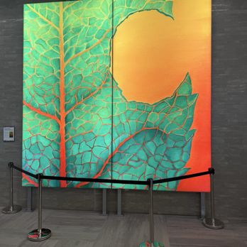 ROUND ROCK PUBLIC LIBRARY - Updated December 2025 - 70 Photos & 12 ...