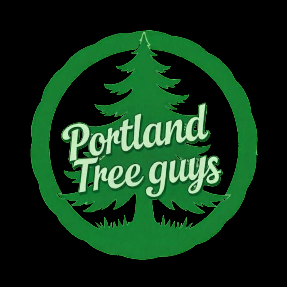 PORTLAND TREE GUYS - Updated June 2025 - Request a Quote - 63 Federal ...