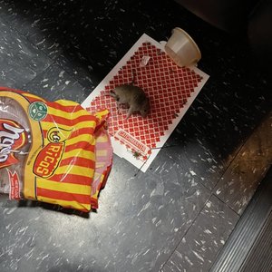 CINEMARK AT VALLEY VIEW AND XD - 39 Photos & 133 Reviews - Cinema ...