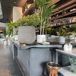 ARLO GREY BY KRISTEN KISH - Updated December 2024 - 1234 Photos & 468 ...