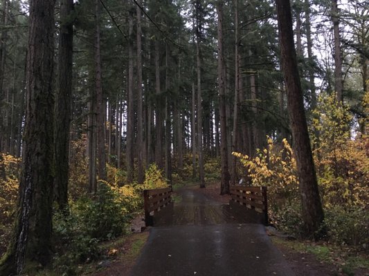 LOWAMI HART WOODS NATURAL AREA - Updated May 2025 - 25 Photos - 14895 ...