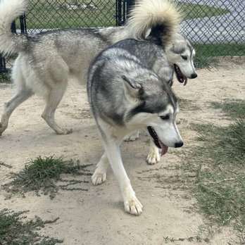 IT’S A ZOO LIFE - Updated December 2025 - 133 Photos & 15 Reviews ...