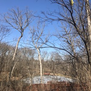 SUSON PARK - Updated June 2025 - 159 Photos & 42 Reviews - 6059 Wells ...