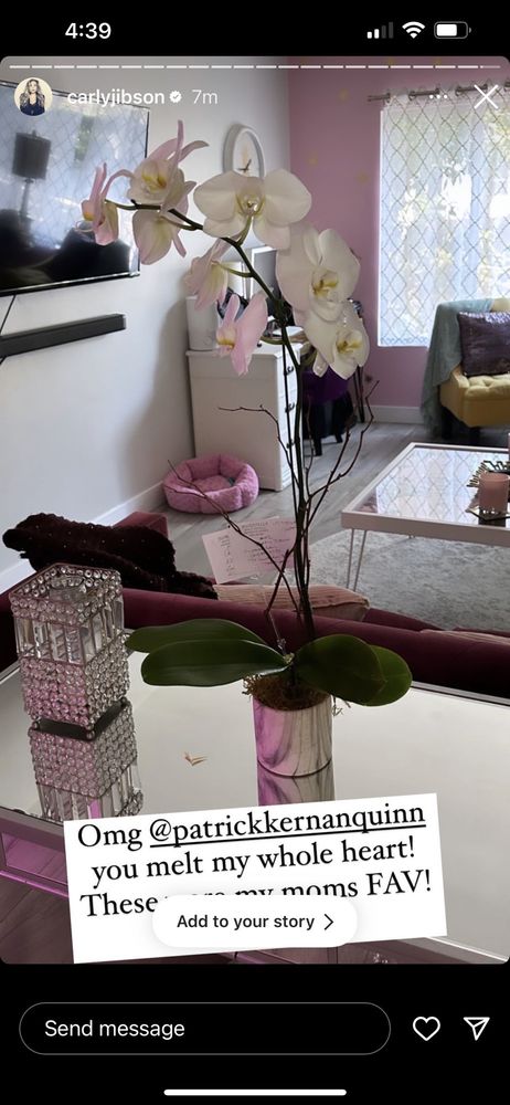 BELLA FLORA BEVERLY HILLS - Updated October 2024 - 9923 S Santa Monica ...