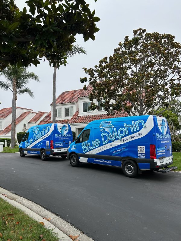 BLUE DOLPHIN RESTORATION - 123 Photos & 81 Reviews - Laguna Hills ...