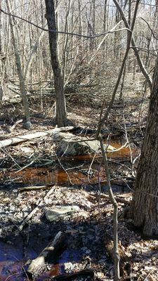 MASS AUDUBON BROAD MEADOW BROOK WILDLIFE SANCTUARY - Updated March 2025 ...