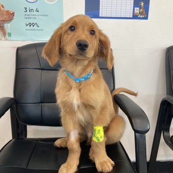 HUNTINGTON BEACH VETERINARY HOSPITAL - Updated June 2024 - 114 Photos ...