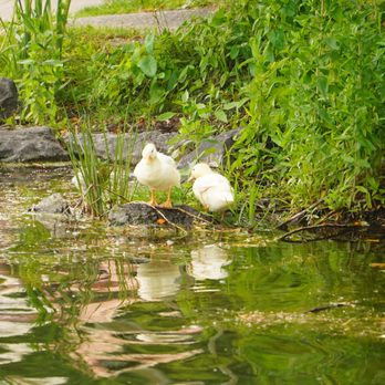 DELAWARE PARK - Updated November 2025 - 153 Photos & 69 Reviews - 84 ...