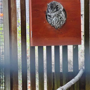 CASCADES RAPTOR CENTER - Updated November 2025 - 158 Photos & 115 ...