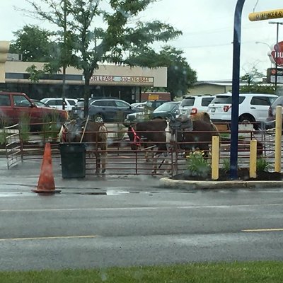 ELGIN STATE BANK - Updated October 2025 - 50 Tyler Creek Plaza, Elgin ...