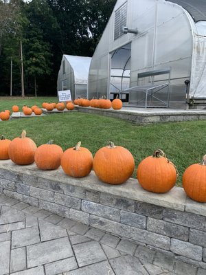 ASHLEY FARMS - Updated September 2025 - 48 Photos & 28 Reviews - 25 ...